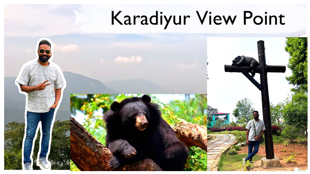 Karadiyur View Point, Yercaud – A Hidden Paradise in the Eastern Ghats ...