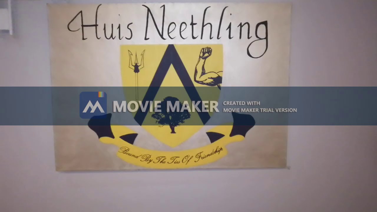 Ystervarke 2019 - YouTube