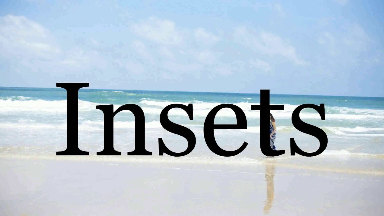 How To Pronounce Insets Pronunciation Of Insets YouTube how-to-pronounce-insets-pronunciation-of-insets-youtube