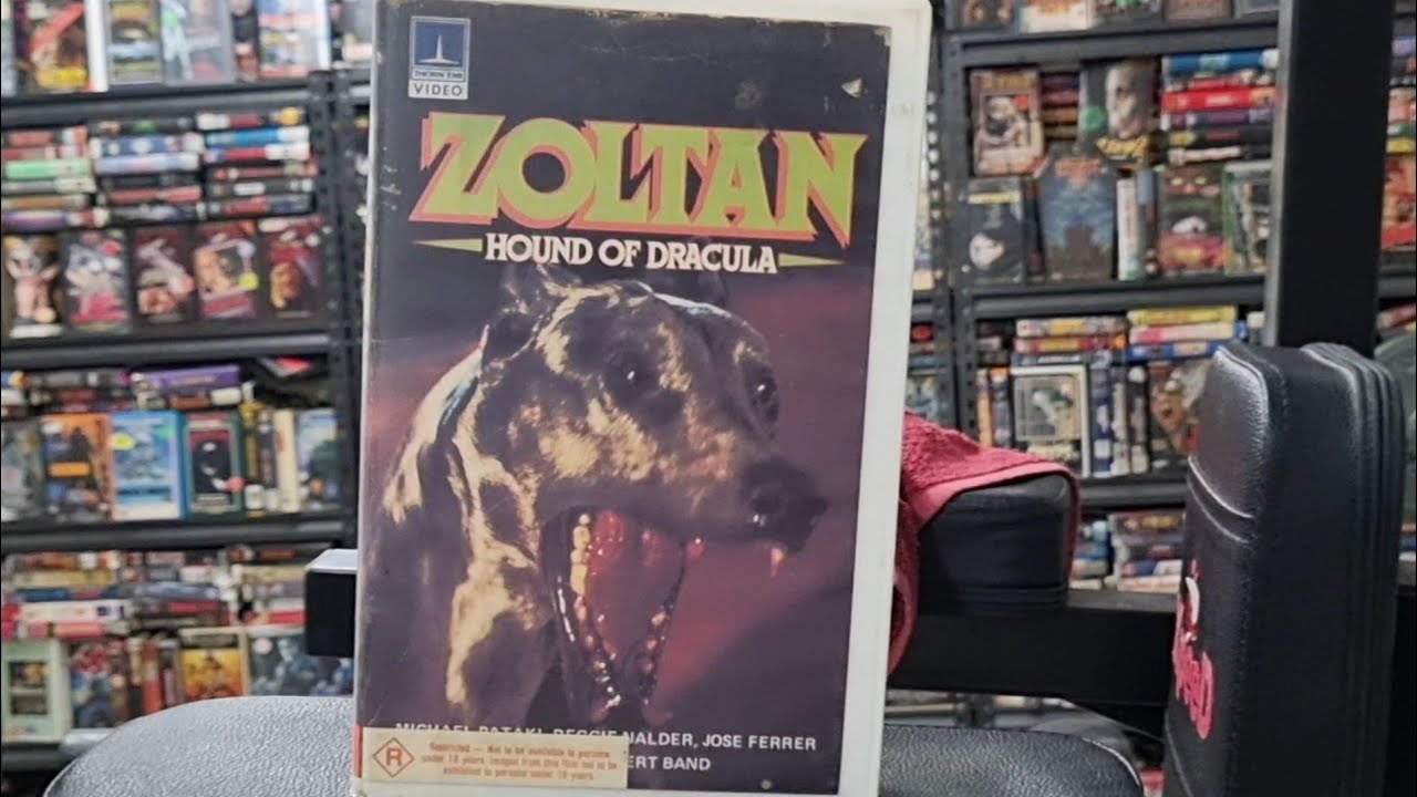 ZOLTAN The Hound of Dracula 1978 VHS 🧛😨🐶🐕😱🐕🐶😱😱 - YouTube