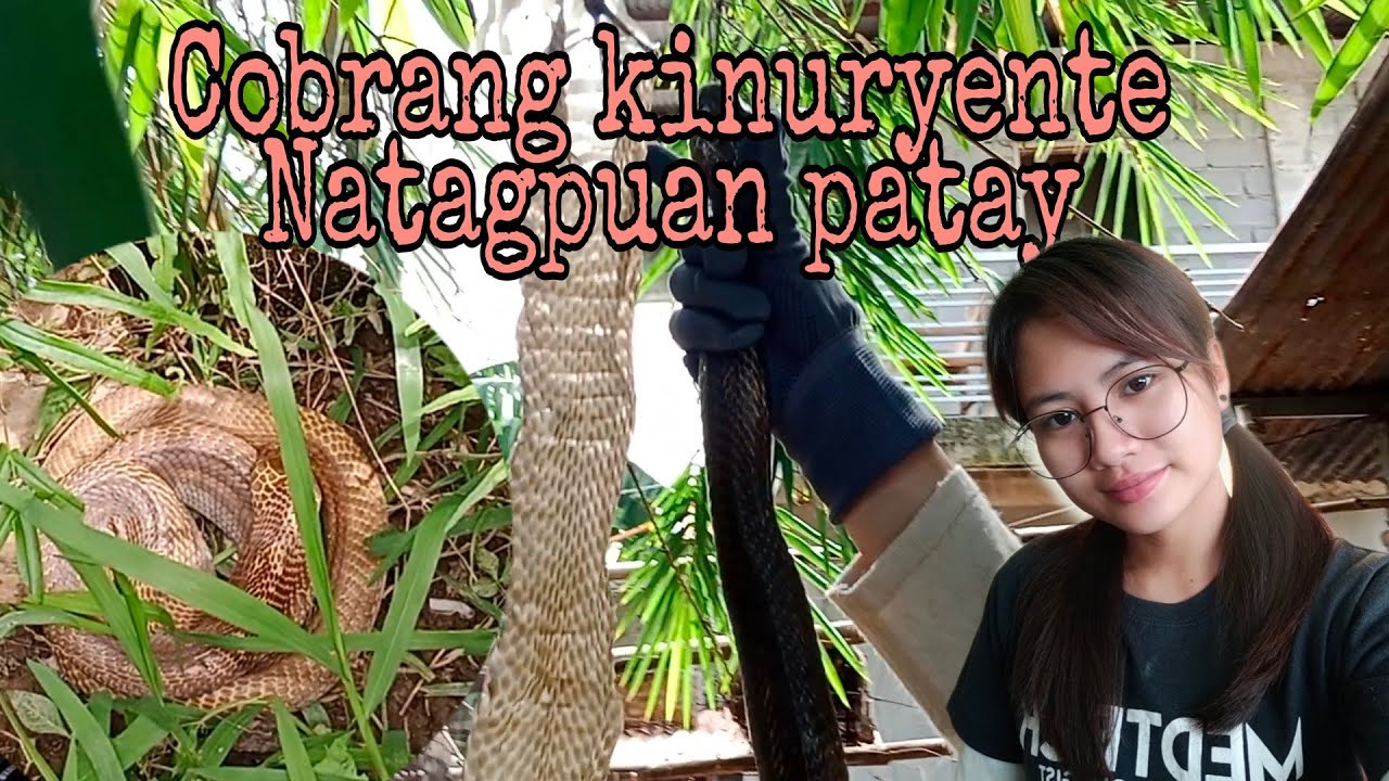Cobrang kinuryente natagpuan patay l Princess Tuklaw - YouTube