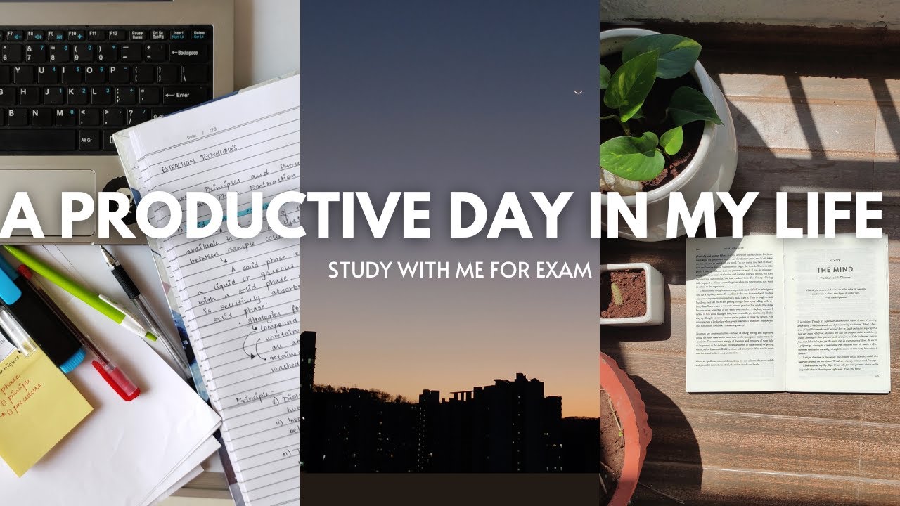 A Productive Day In My Life 🌿 Study Vlog| Grocery shopping | Exam ...