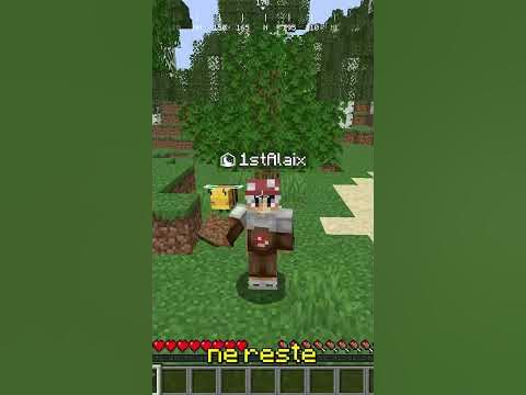 Comment POSER un Bloc sur Minecraft ? - YouTube