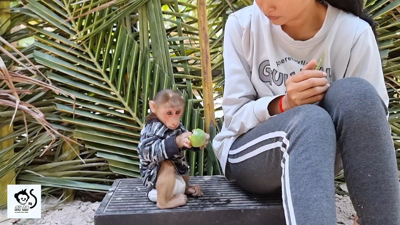 Nuna Eat The Fruit, Feeling Resentful Because Her Mother Gave Her Sour ...