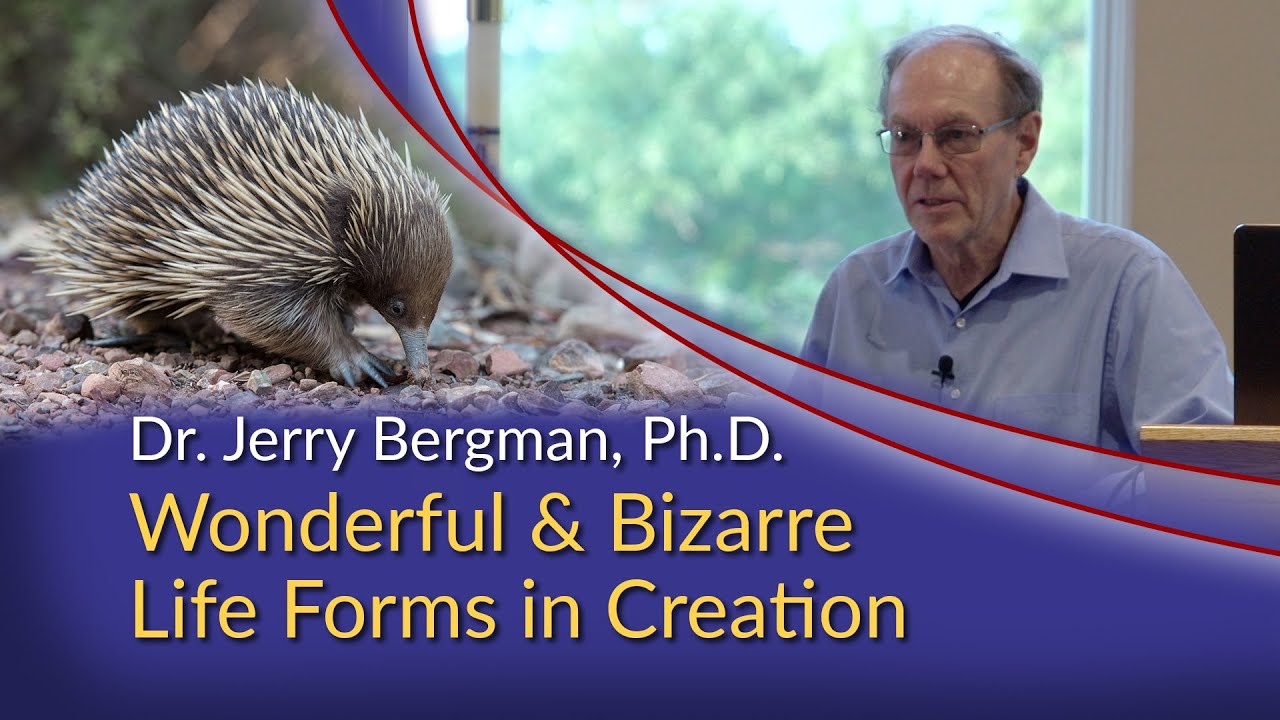 Dr Jerry Bergman - Wonderful & Bizarre Life Forms in Creation - YouTube
