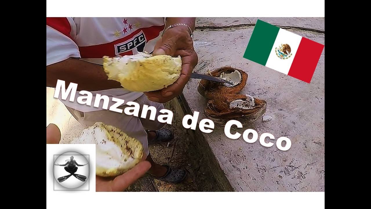 Super Healthy Old Coconut Manzana de coco -Traveling Adventures- - YouTube