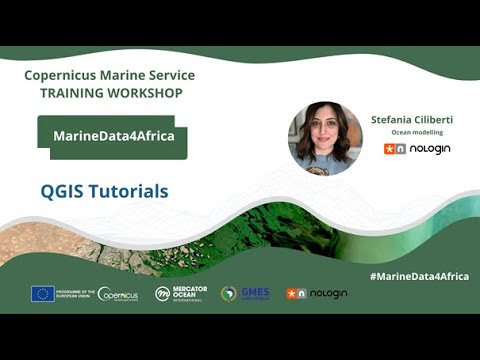 Copernicus Marine Service Training Workshop for MarineData4Africa ...