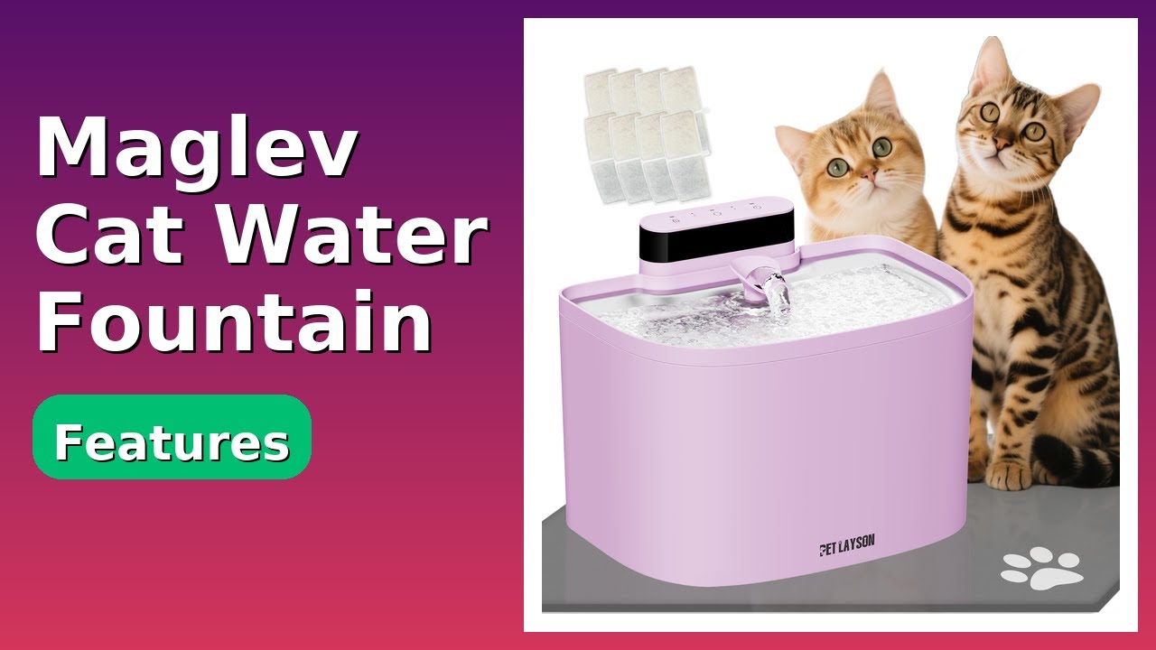 REVIEW (2026): Maglev Cat Water Fountain. ESSENTIAL details. - YouTube