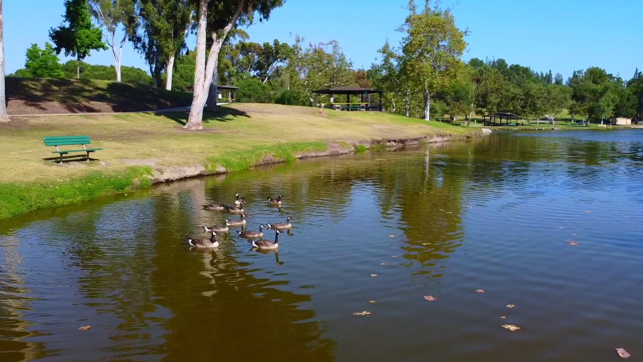 Craig Park - YouTube