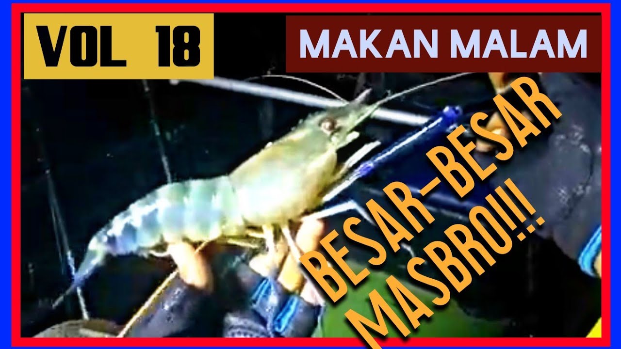 SERANGAN UDANG GALAH ( GIANT FRESH WATER MONSTER) PRAWN FISHING - YouTube