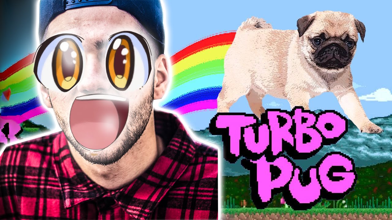 TURBO PUG IN ACTIUNE! - YouTube