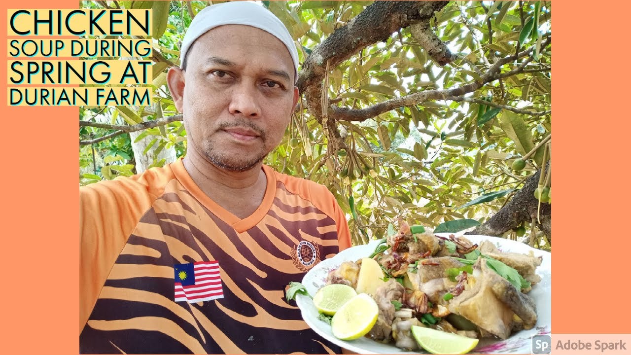 Chicken Soup During Spring at Durian Farm - YouTube