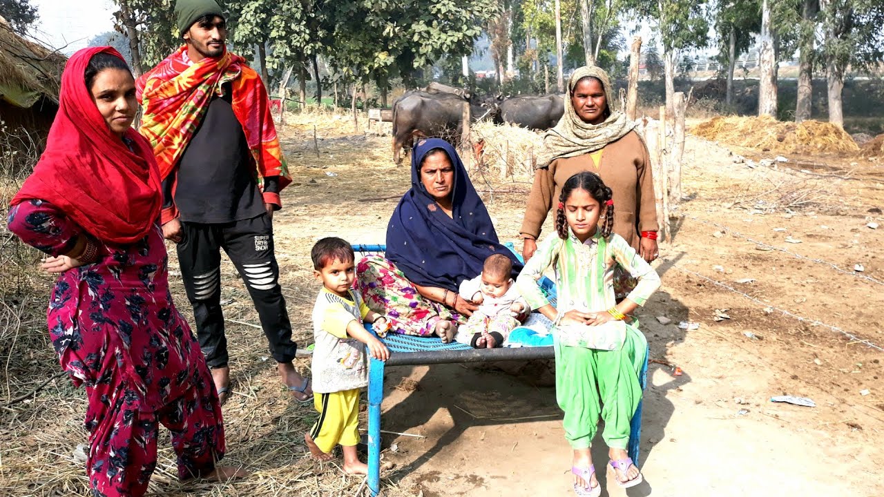 Indian Gujjar Village Family Village life of Punjab/ India Rural life ...