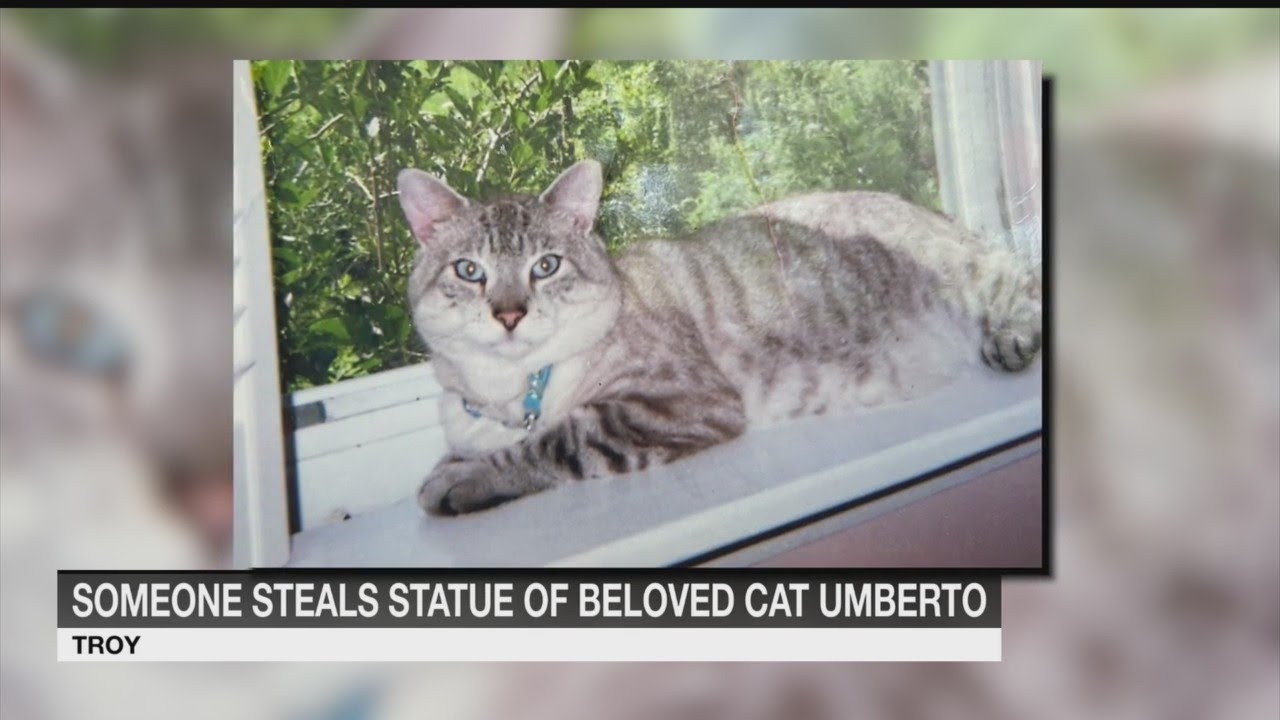 Statue of beloved Troy cat stolen - YouTube