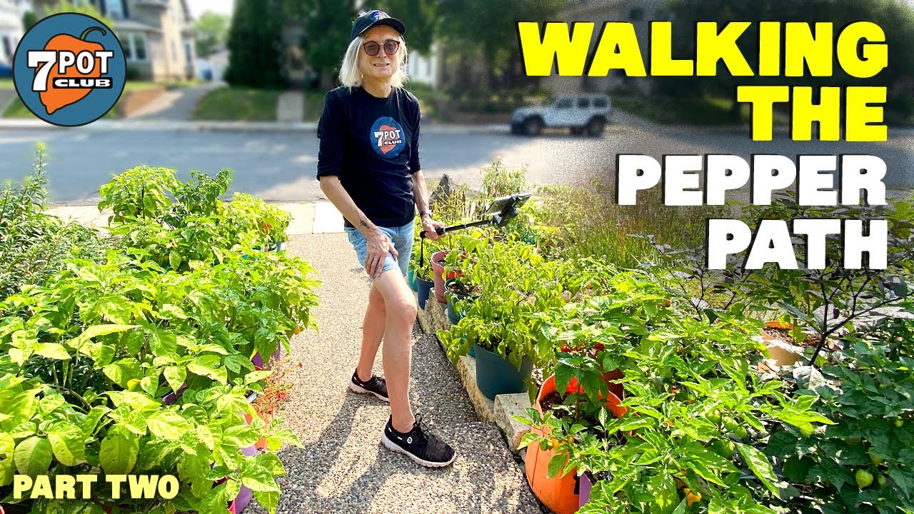 Walking the Pepper Path 2020 — Part 2 - YouTube