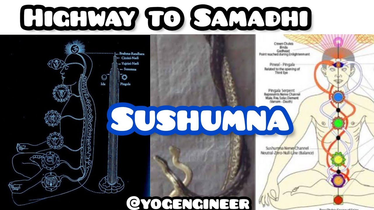 Sushumna Road to Spiritual Consciousness | Hatha Yoga | Yogengineer ...