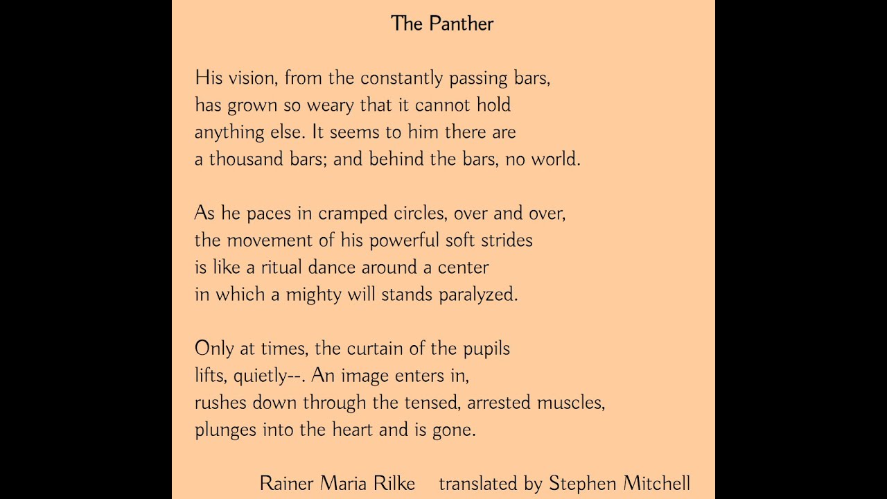 The Pather, Der Panther - YouTube