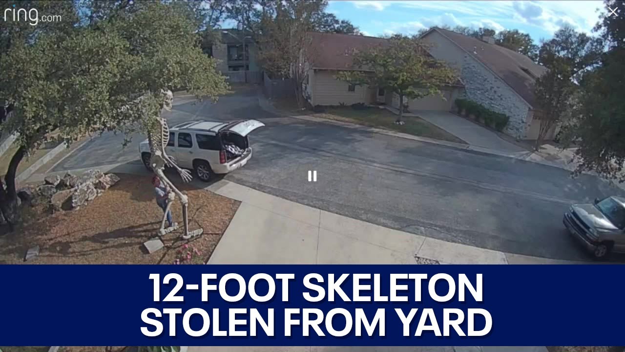 Security footage of person stealing 12-foot skeleton from Northwest ...