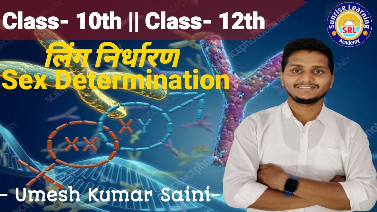 Genetics | Class -12 | NCERT | NEET |मानव में लिंग निर्धारण कैसे होता है| Sex Determination in ...