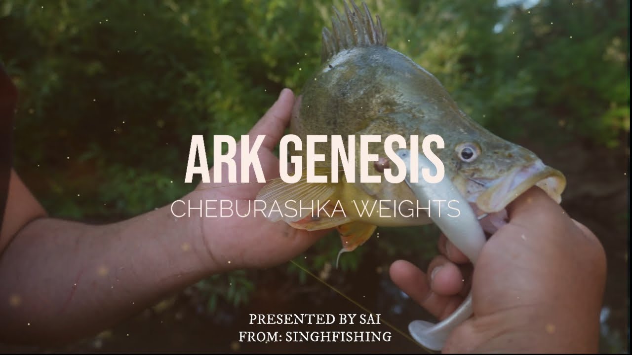 Cheburashka Rig Tutorial | Game-Changing Fishing Technique - YouTube