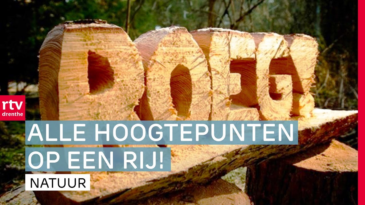10 jaar lang ROEG!: De hoogtepunten | ROEG! | RTV Drenthe - YouTube