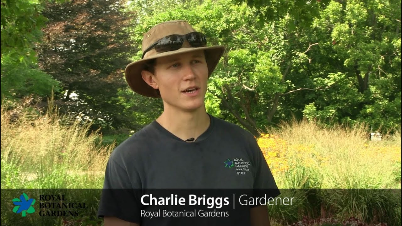 Charlie Briggs - RBG Staff Gardener - YouTube