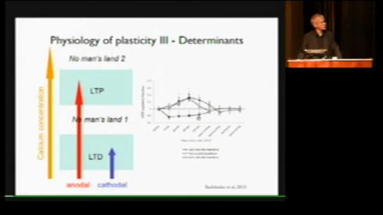 Michael Nitsche - BrainSTIM2015 - Physiology and functional effects of ...