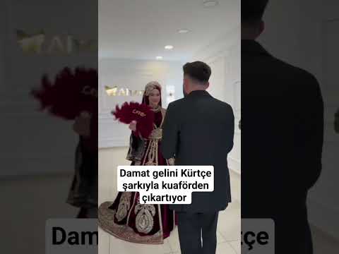 damat gelini Kürtçe şarkı ile karşılıyor #hazarpolat #halay #dance #music #shorts #gelin #damat