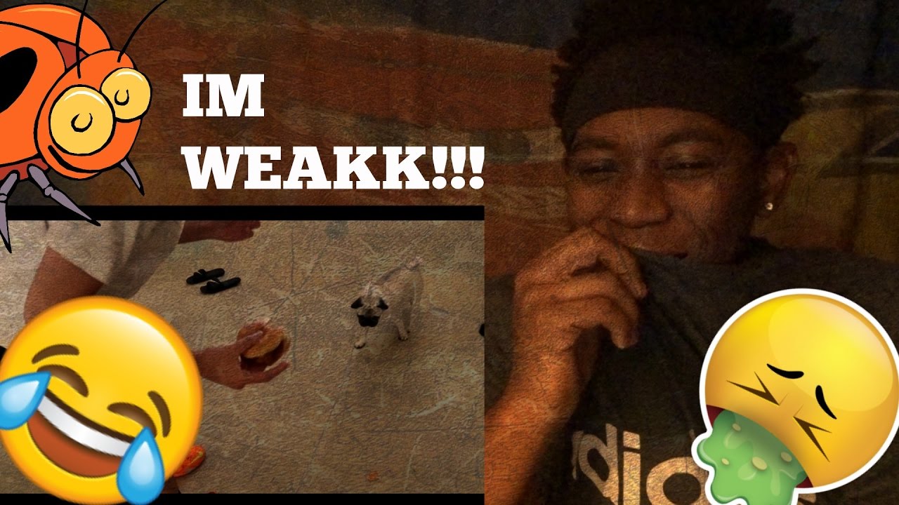 BRUHHHHH LMAO ( Faze Rug BUG Prank Reaction ) - YouTube