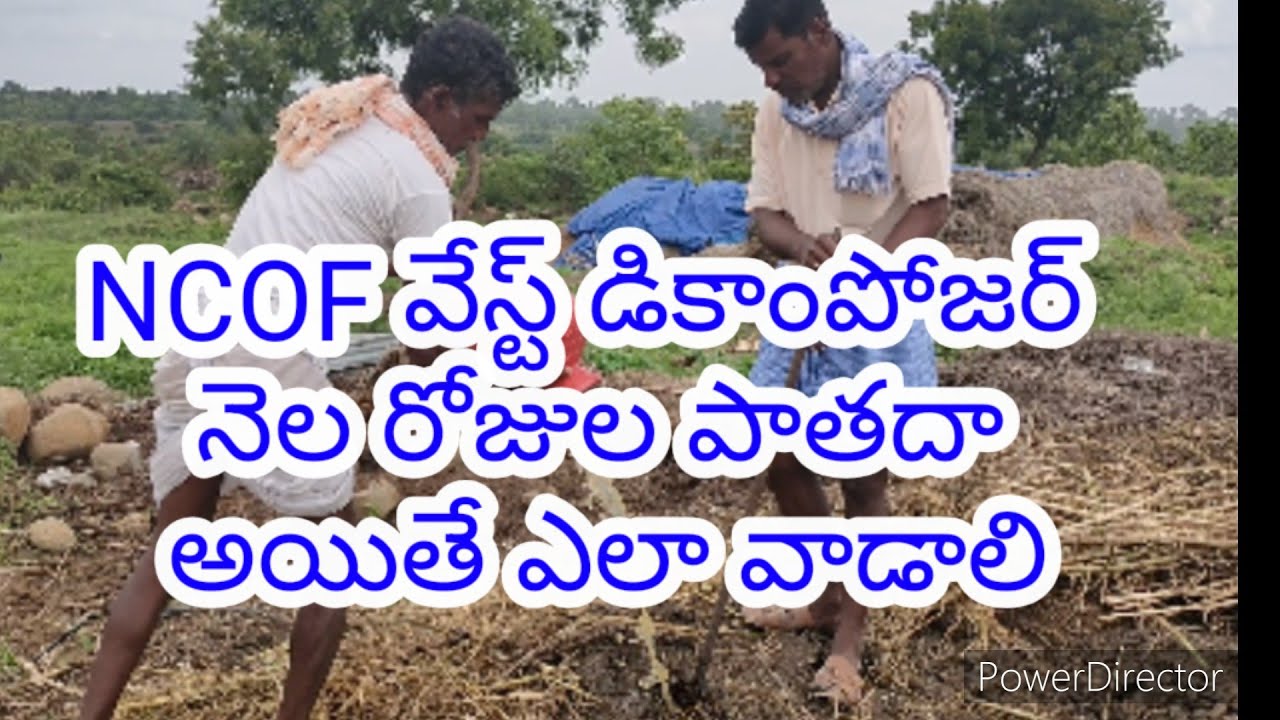 NCOF WDC వేస్ట్ డీకంపోజర్ నెల రోజులు దాటిందా - మరి ఎలా వాడాలి - YouTube