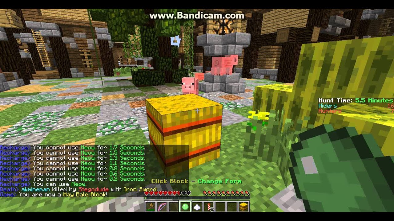 Minecraft Block Hunt with Sk8ter9310 - YouTube