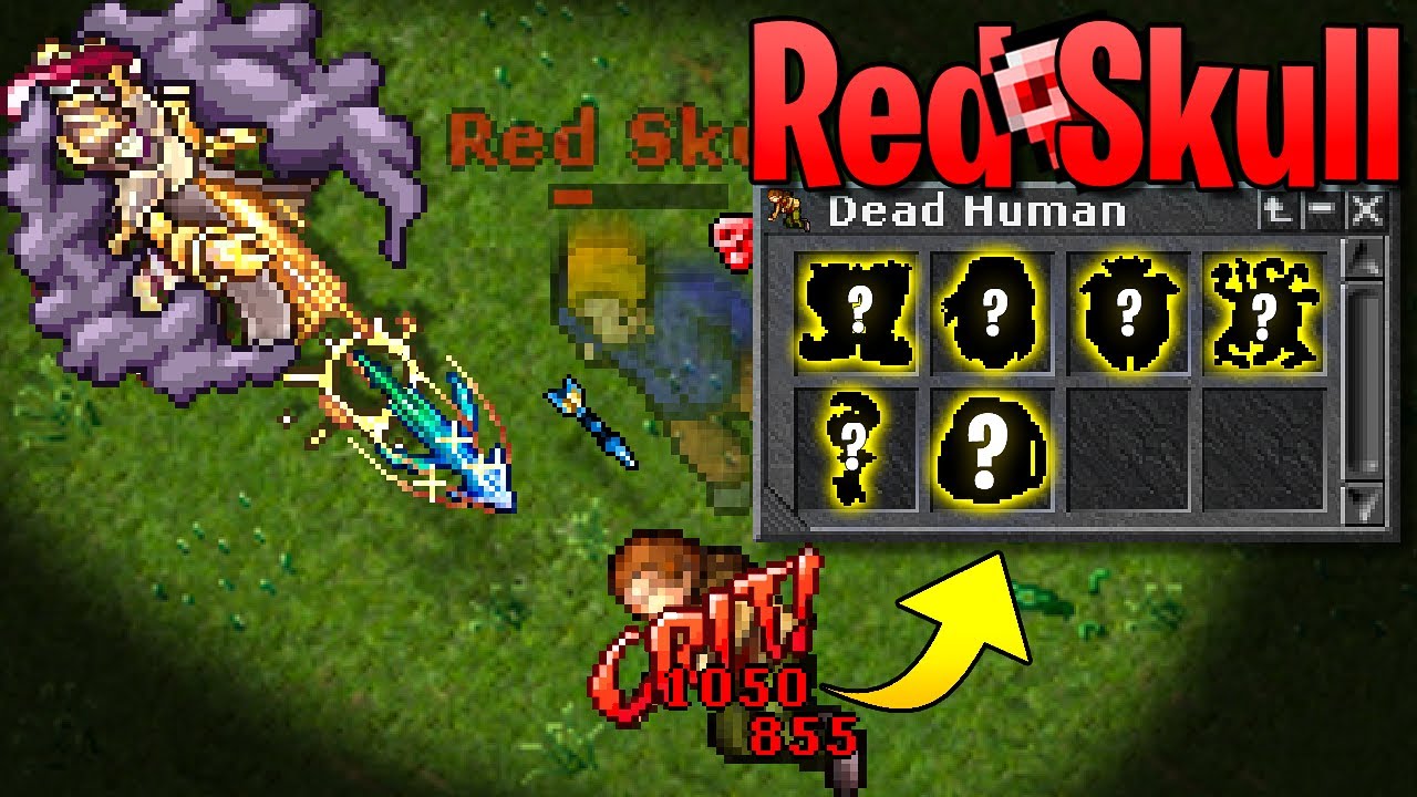 🔥Encontrei um RED SKULL Passeando no TIBIA e passei o Carro🚘 - YouTube