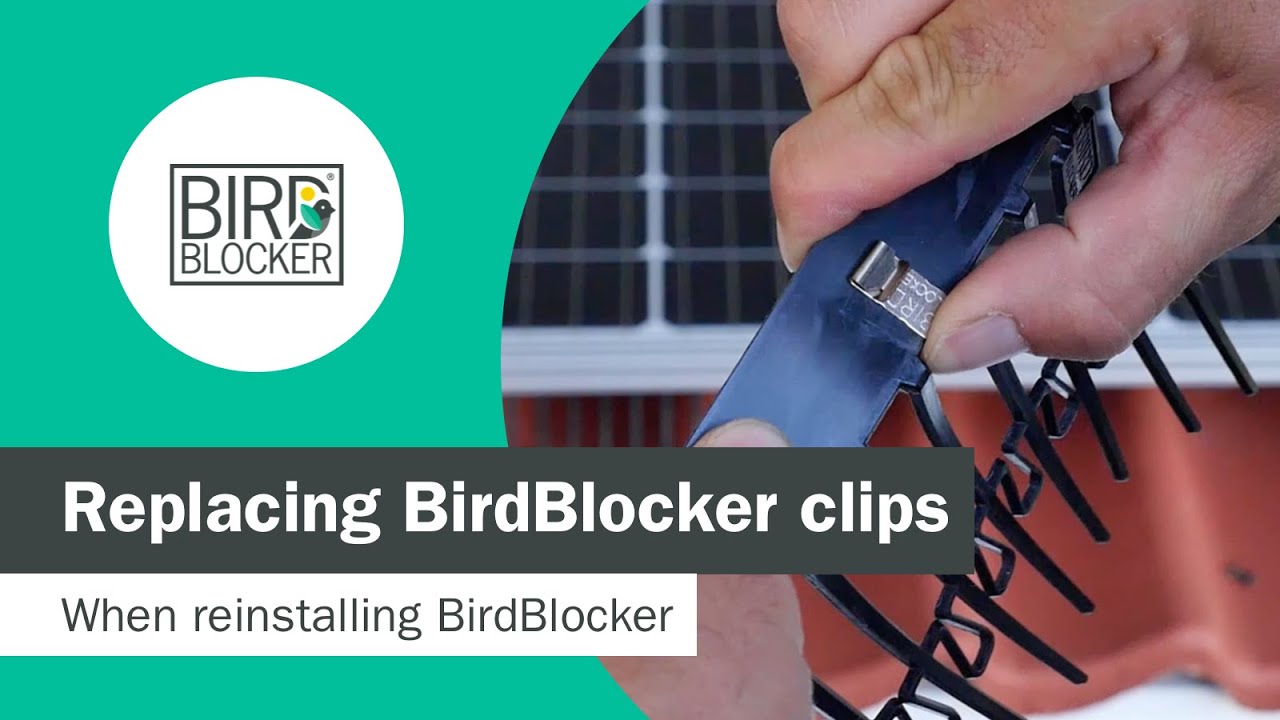 Replacing clips when reinstalling BirdBlocker - YouTube