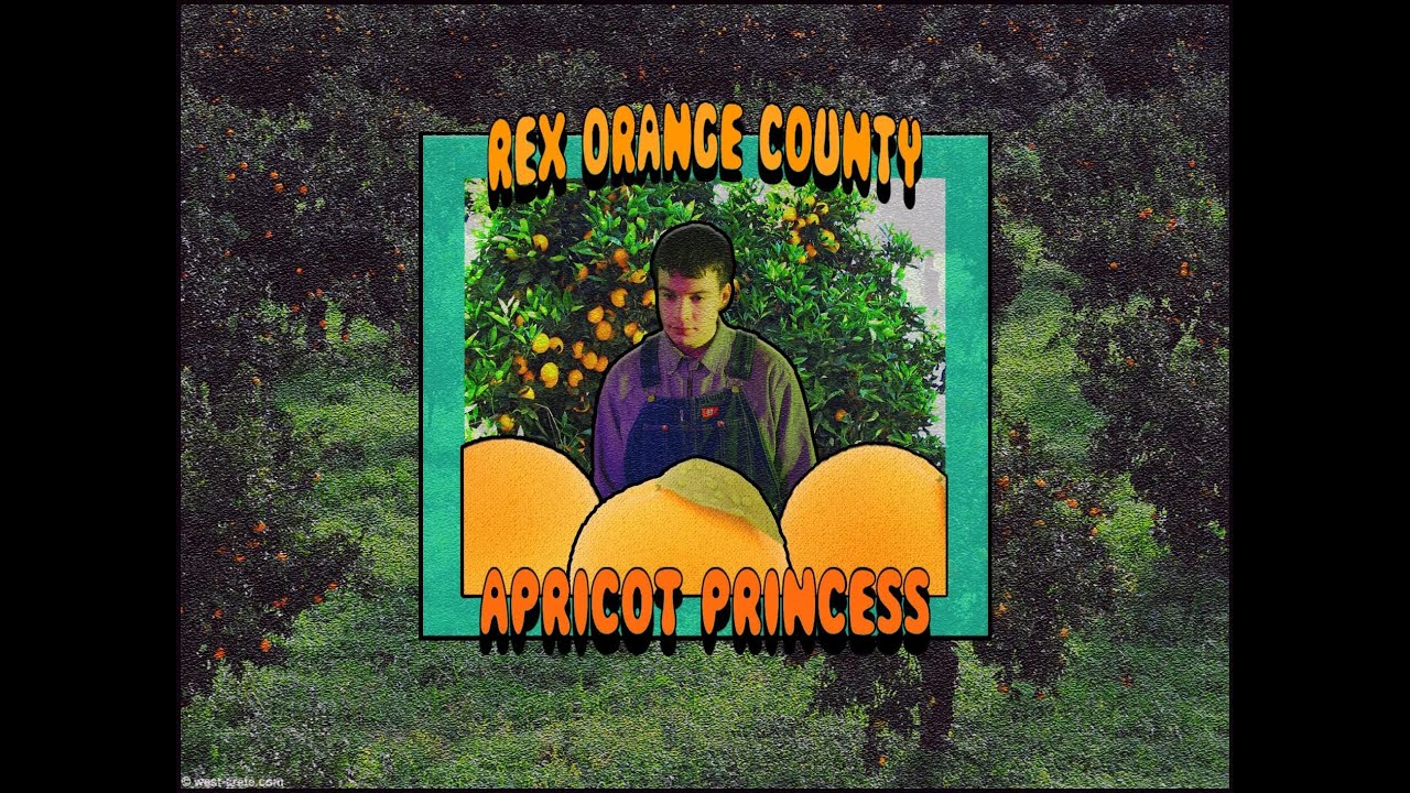 Significado de la canción- Televisión / So Far So Good-Rex Orange ...