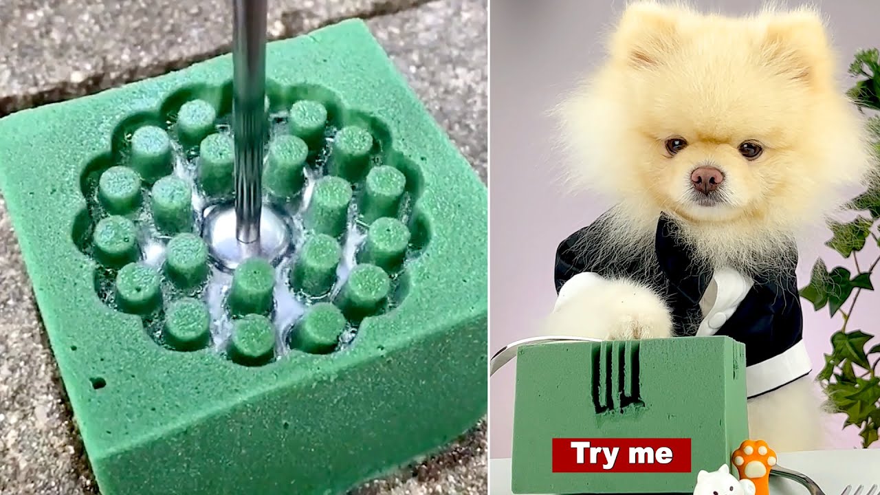 Satisfying and Relaxing Which one is the best? | Oddly Satisfying Video ...