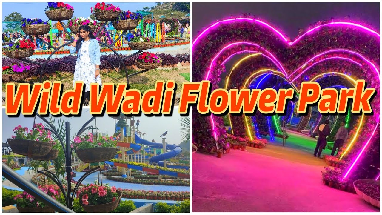 🥰Wild Wadi Flower Park 🏞️ Ranchi😍 || रांची मे खुला फूलो का पार्क ...