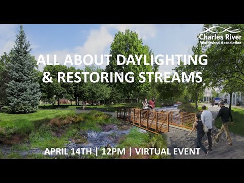 All About Daylighting & Restoring Streams - YouTube
