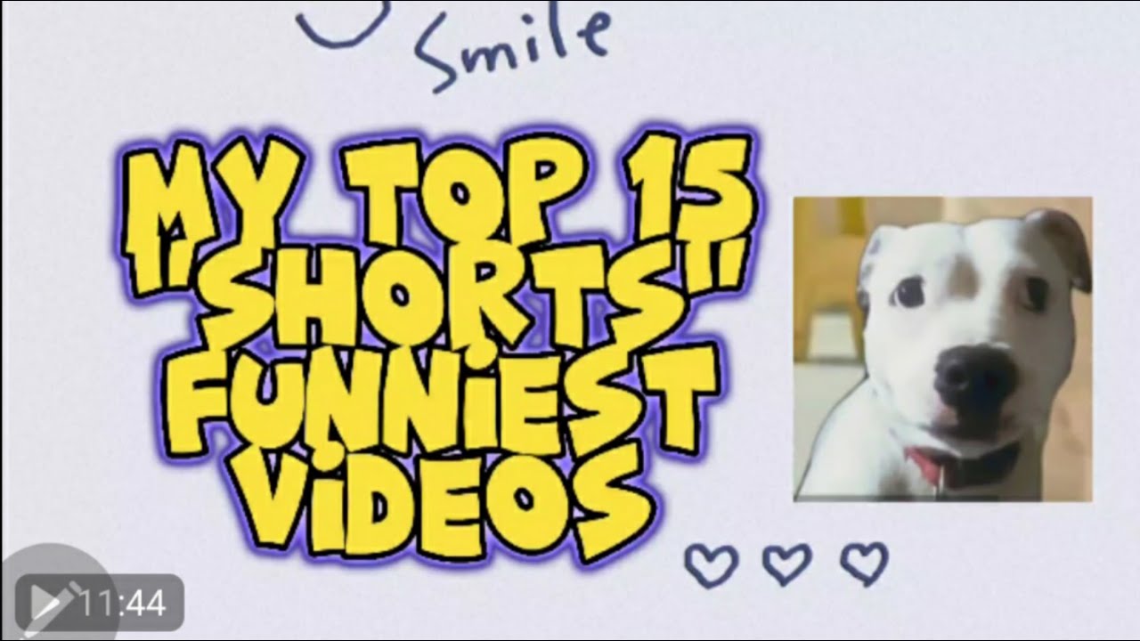 Youtube Shorts Funniest Comedy - 15 Pets LOL - YouTube