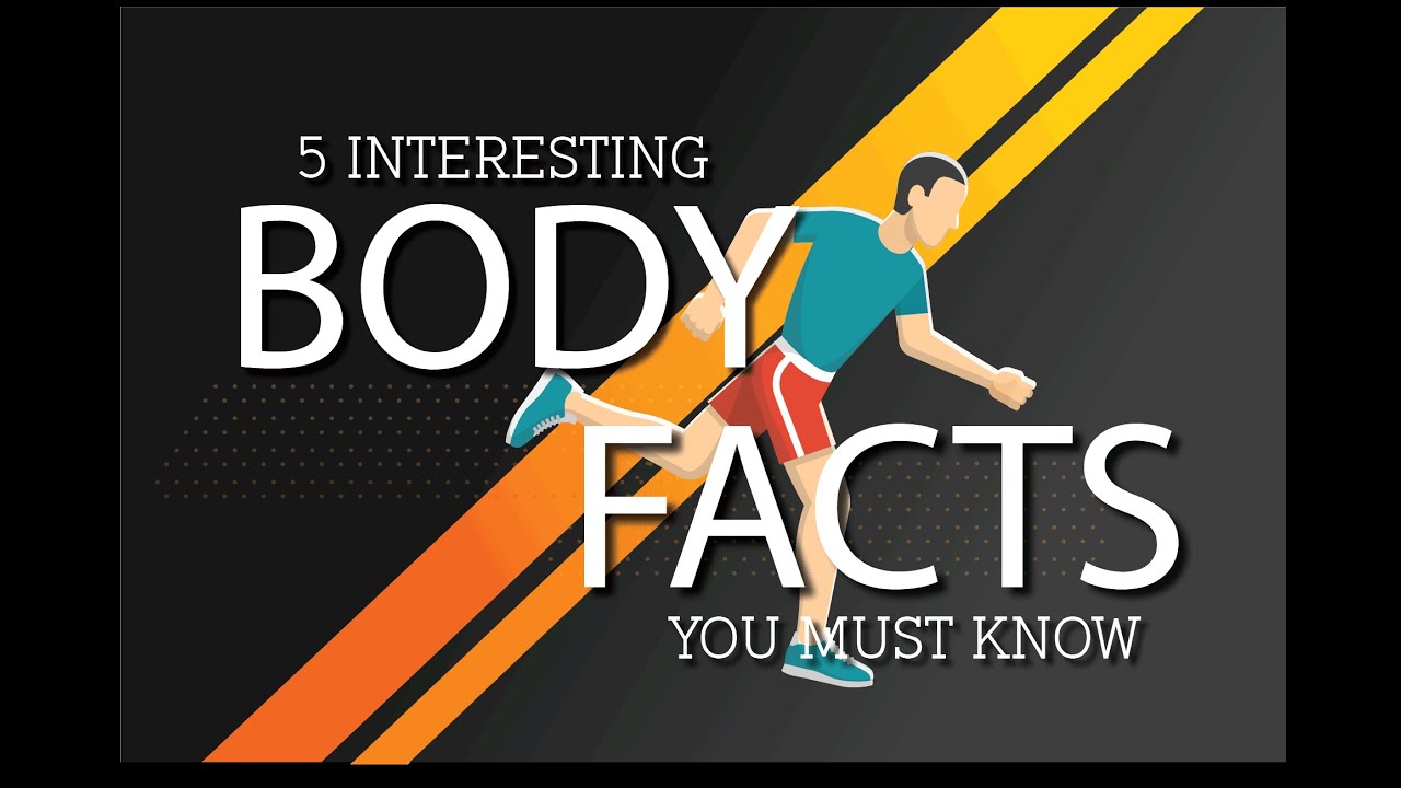 5 interesting body facts you must know - YouTube