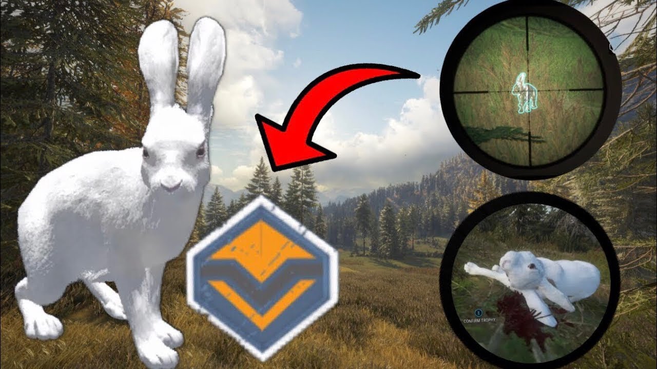 Back on Layton Lakes with an Albino jackrabbit & more! Call of the wild ...