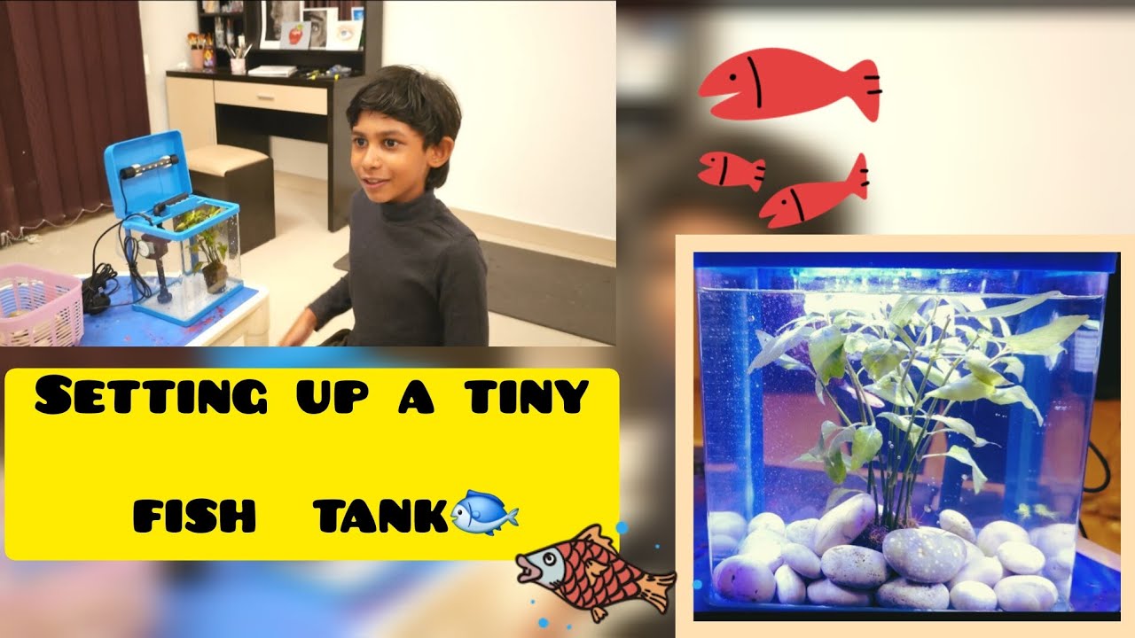 I did it!! setting up my first fish tank @explorewithmezain ...