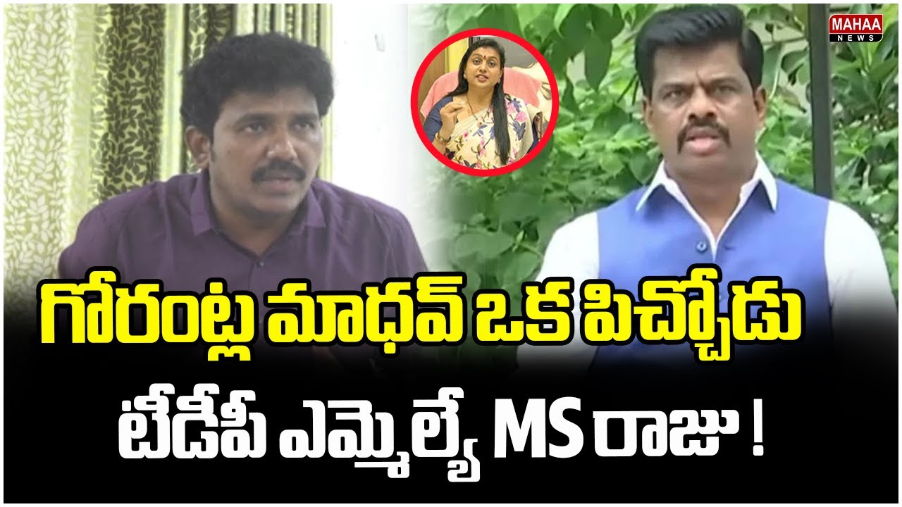 గోరంట్ల మాధవ్ ఒక పిచ్చోడు టీడీపీ ఎమ్మెల్యే MS రాజు ! | MLA MS Raju ...