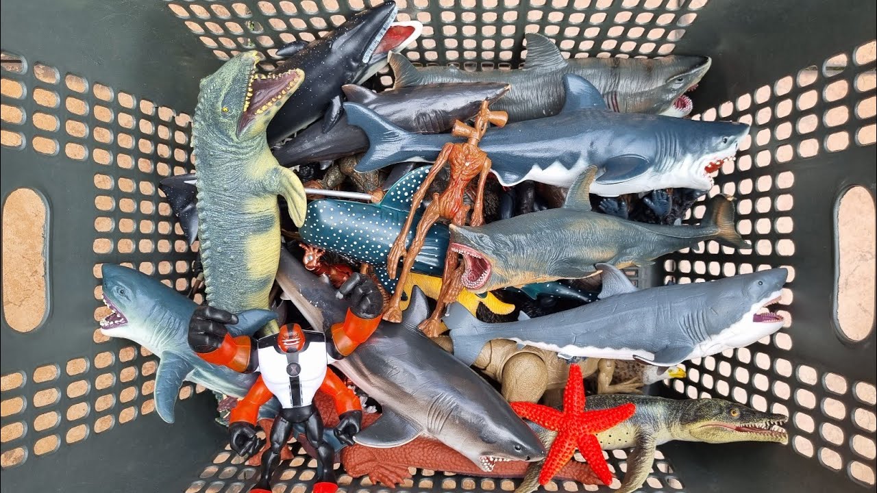 Hunting Found Sirenhead, Megalodon Shark, Great White Shark, Mosasaurus ...