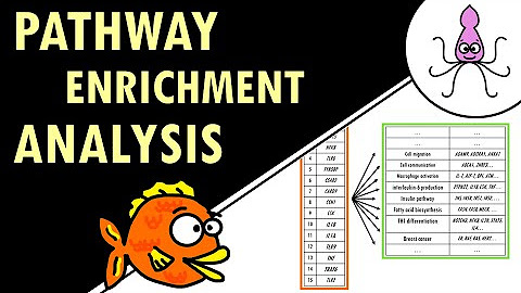 Pathway enrichment analysis - YouTube