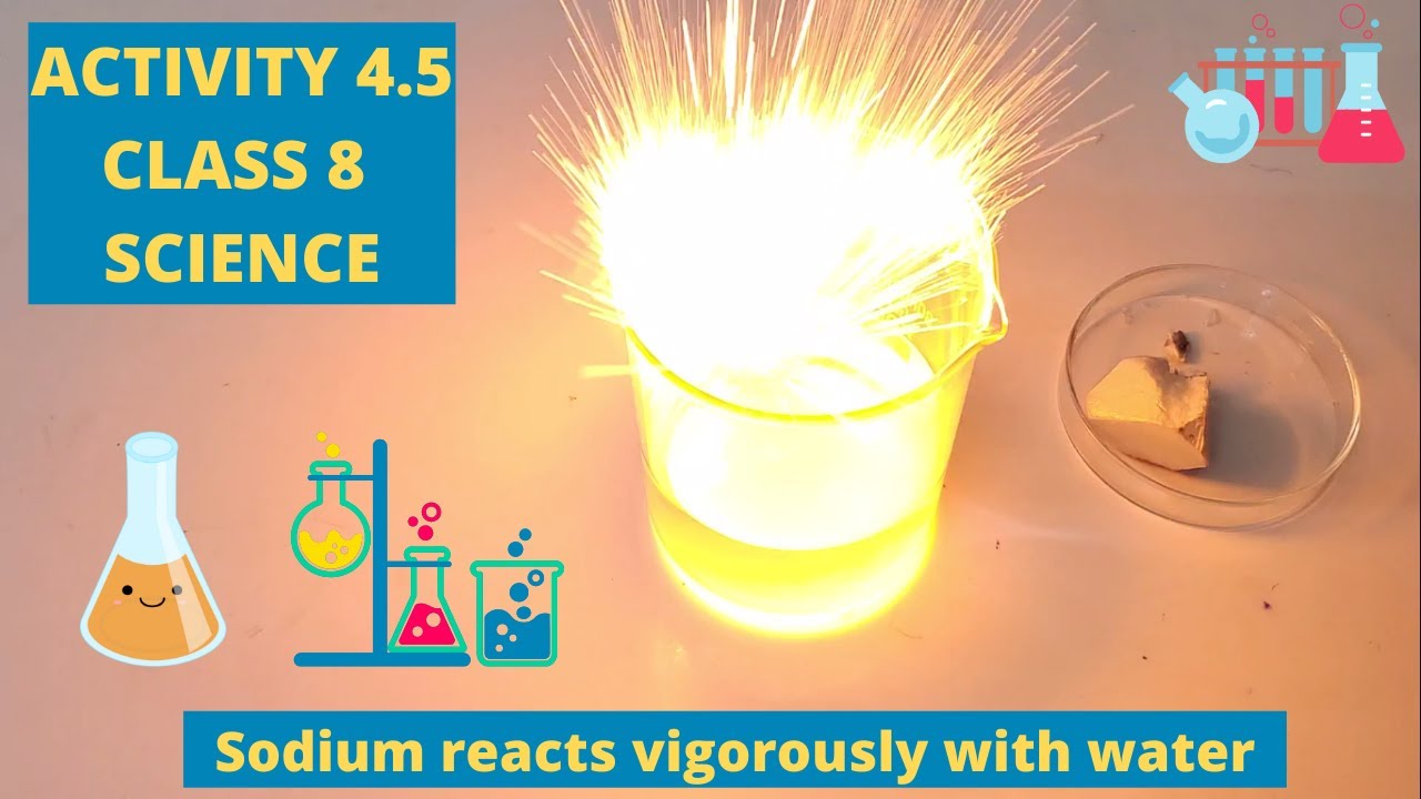 ACTIVITY 4.5 ll CLASS 8 ll SCIENCE ll CHAPTER 4 ll NCERT ll ANKITA MAM ...