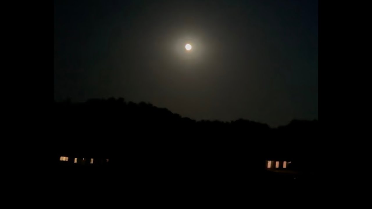 Moonlit Night in Konza Prairie 🌙 | Insect Chirping Sounds for Sleep ...