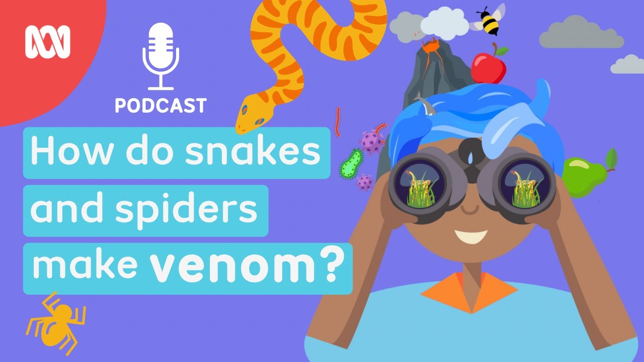How do snakes and spiders make VENOM? 🐍🕷️ | Imagine This PODCAST | ABC ...
