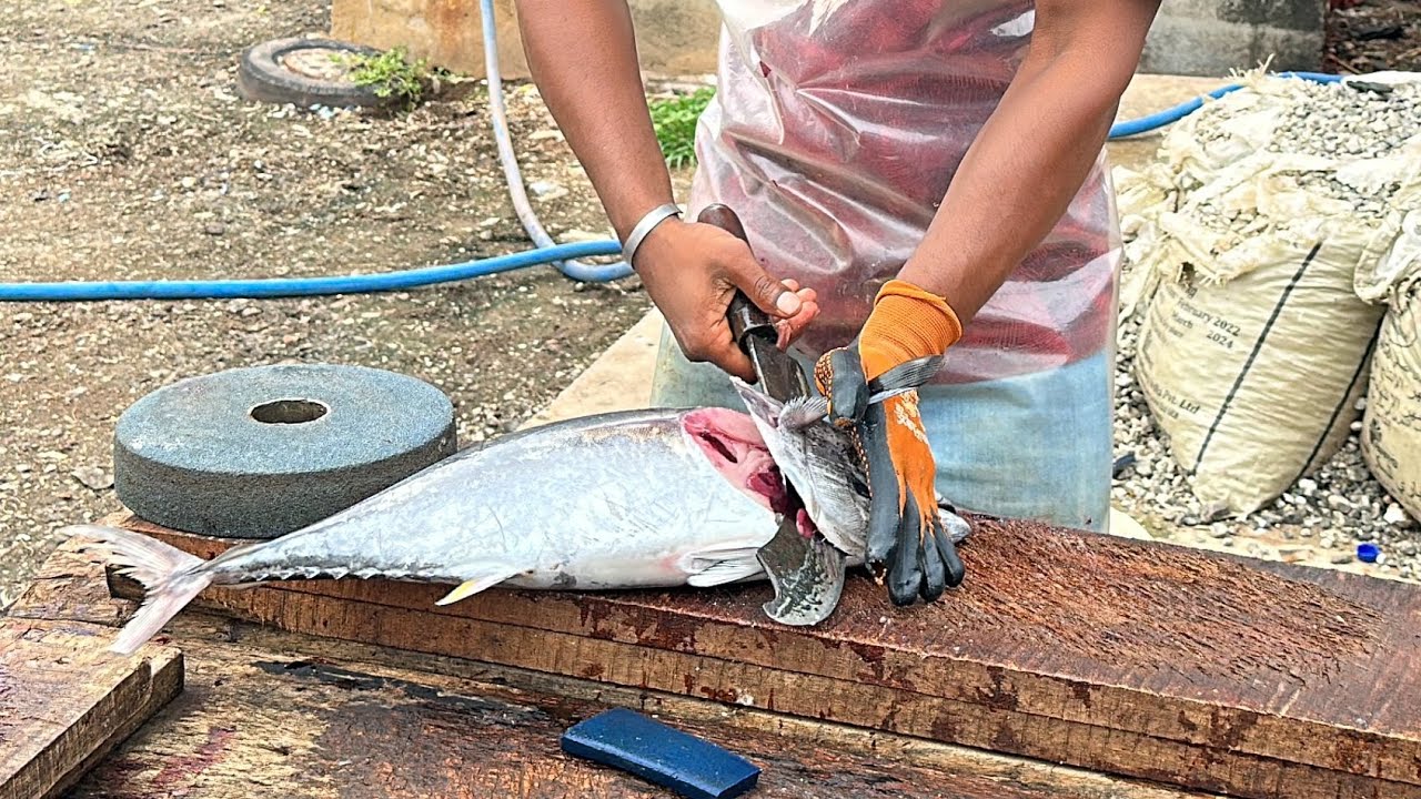 YELLOWFIN TUNA CUTTING SKILLS BY EXPERT - YouTube