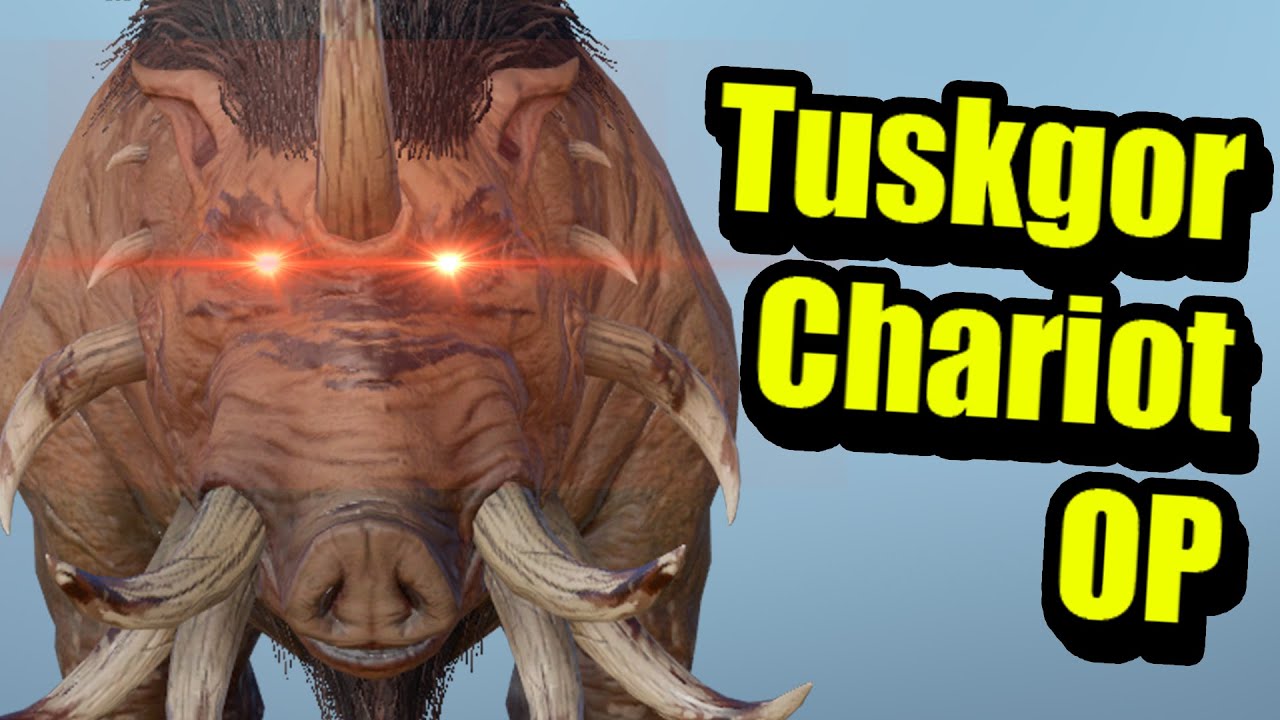 Beastmen Tuskgor Chariot is Broken and Stupidly OP - YouTube