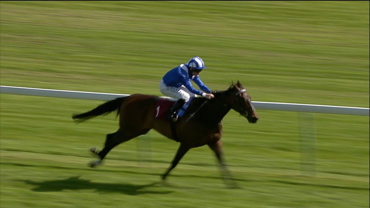 Smart debut! Frankel filly AL ASIFAH creates strong impression on ...